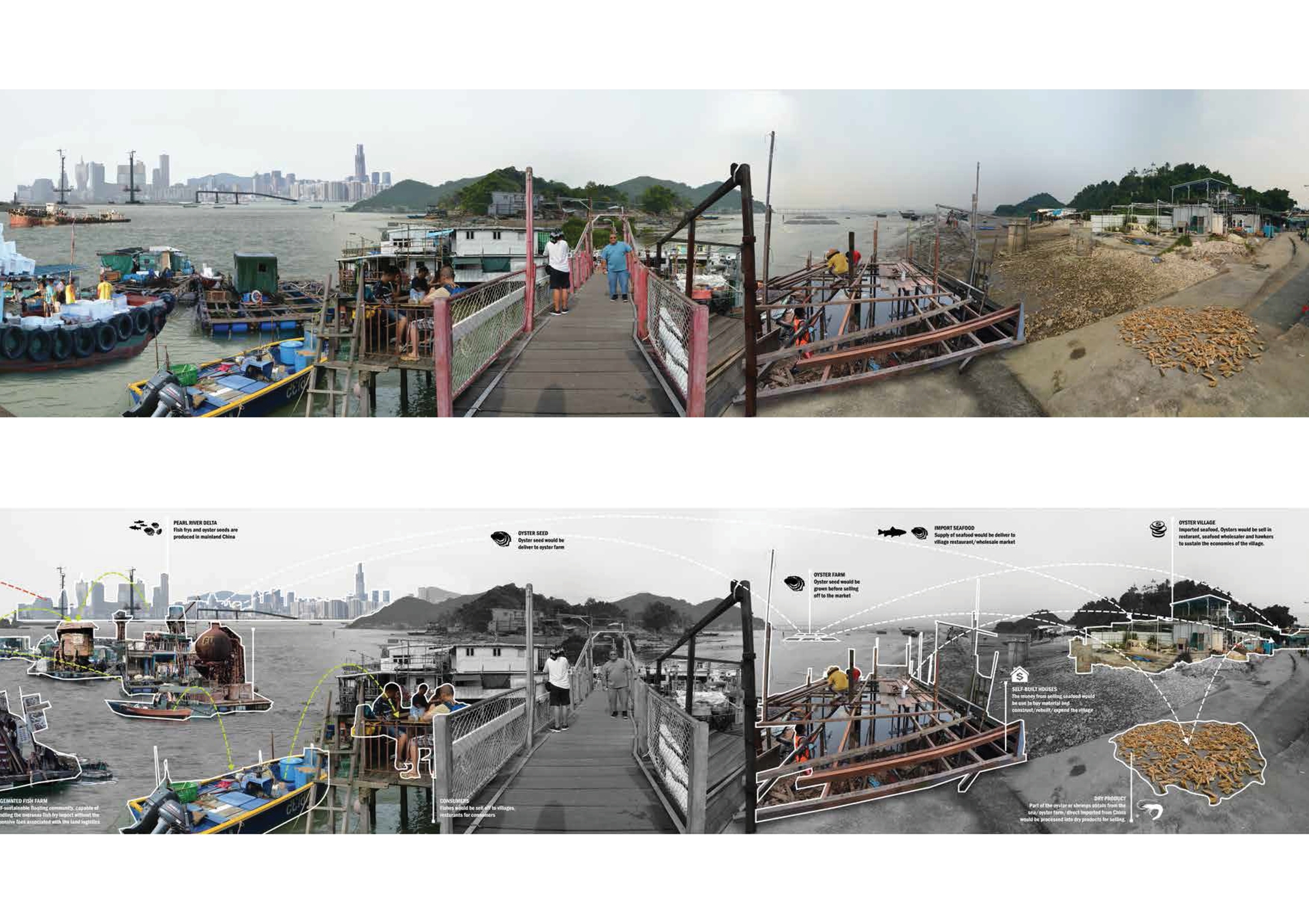 Rural Urban Ecology: Central’s Operational Landscapes | HKU Faculty of ...