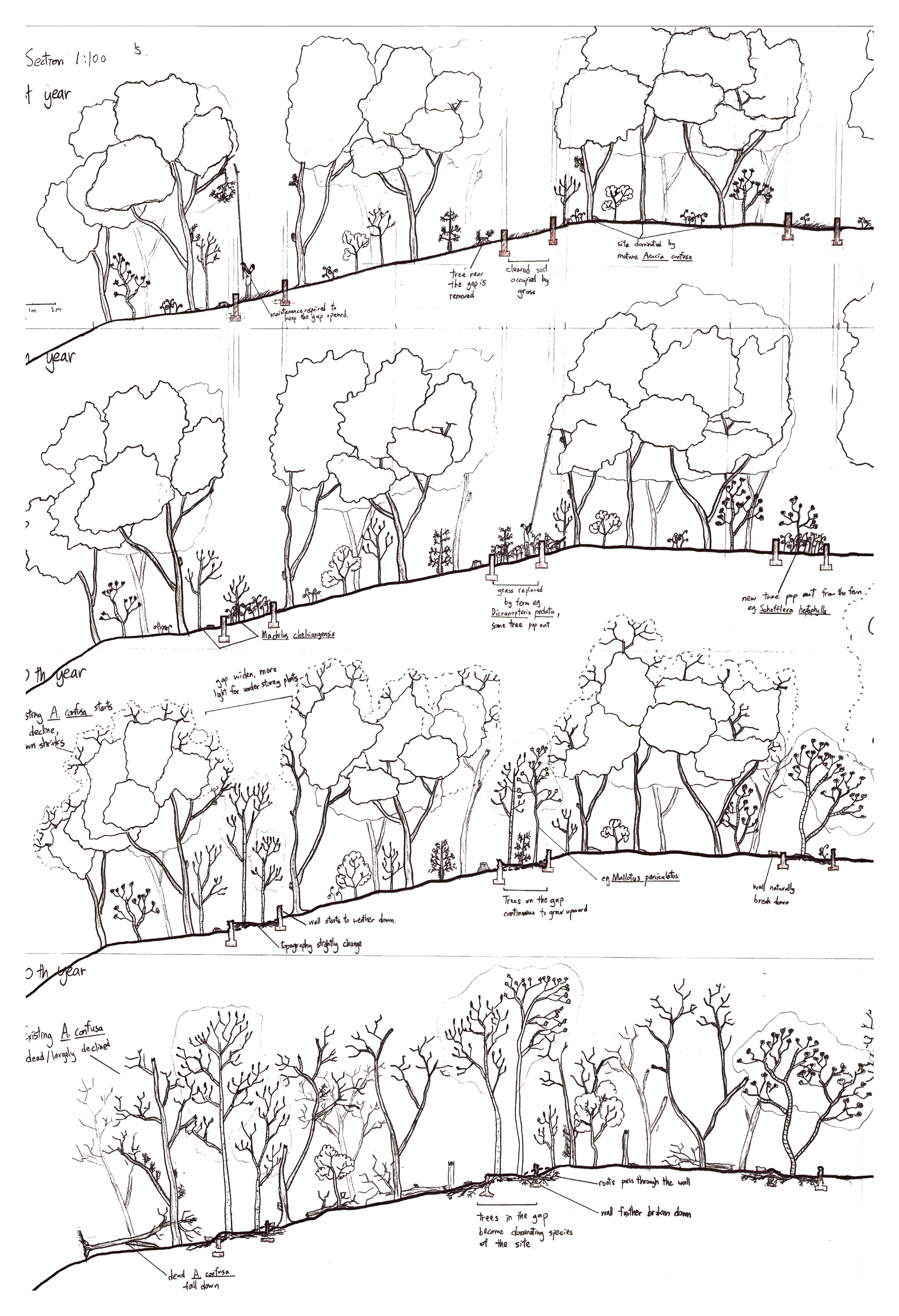 Uncovering Site and Process in the Landscape: Assembles, Gradients and ...