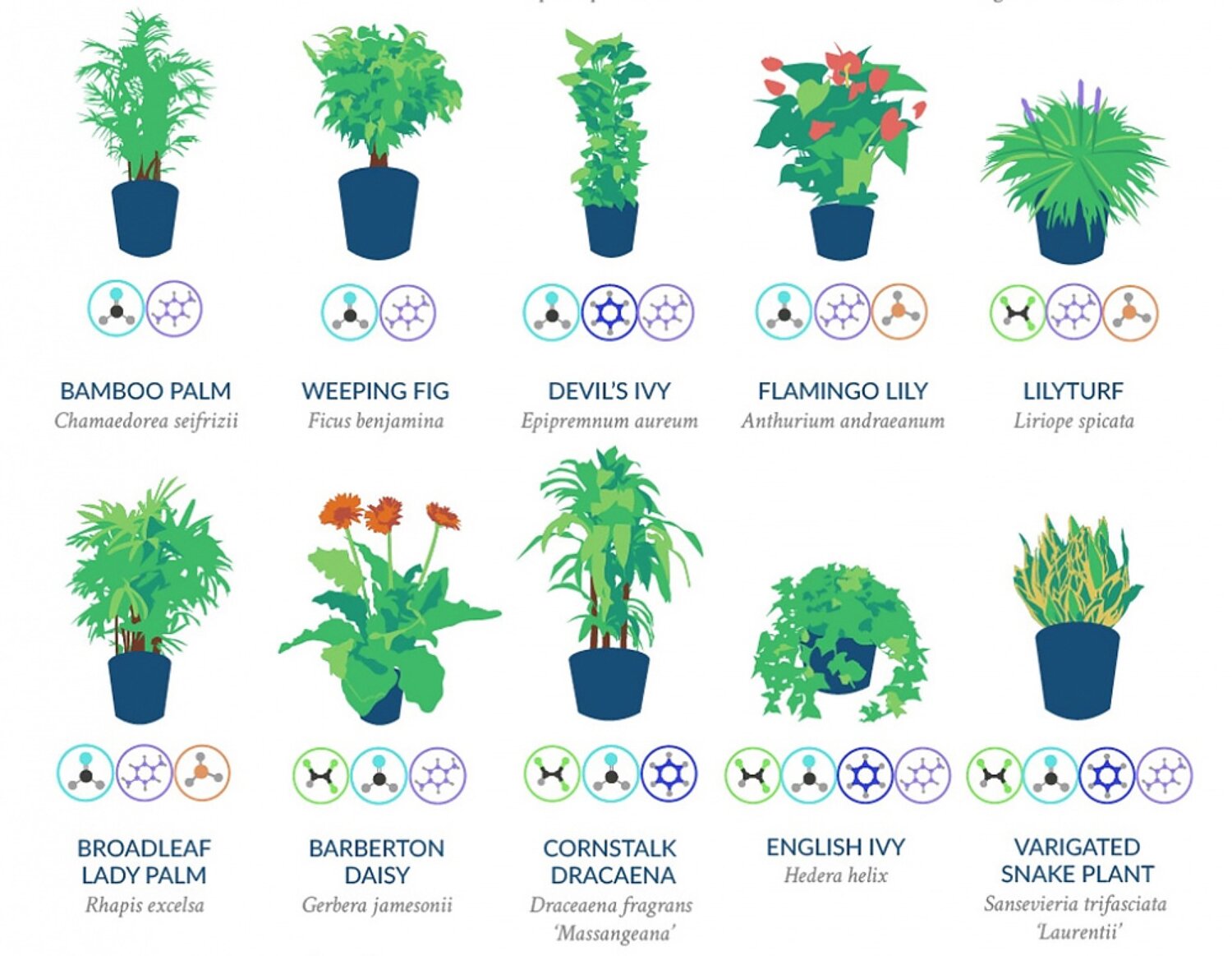 Save My Plant | HKU Faculty of Architecture