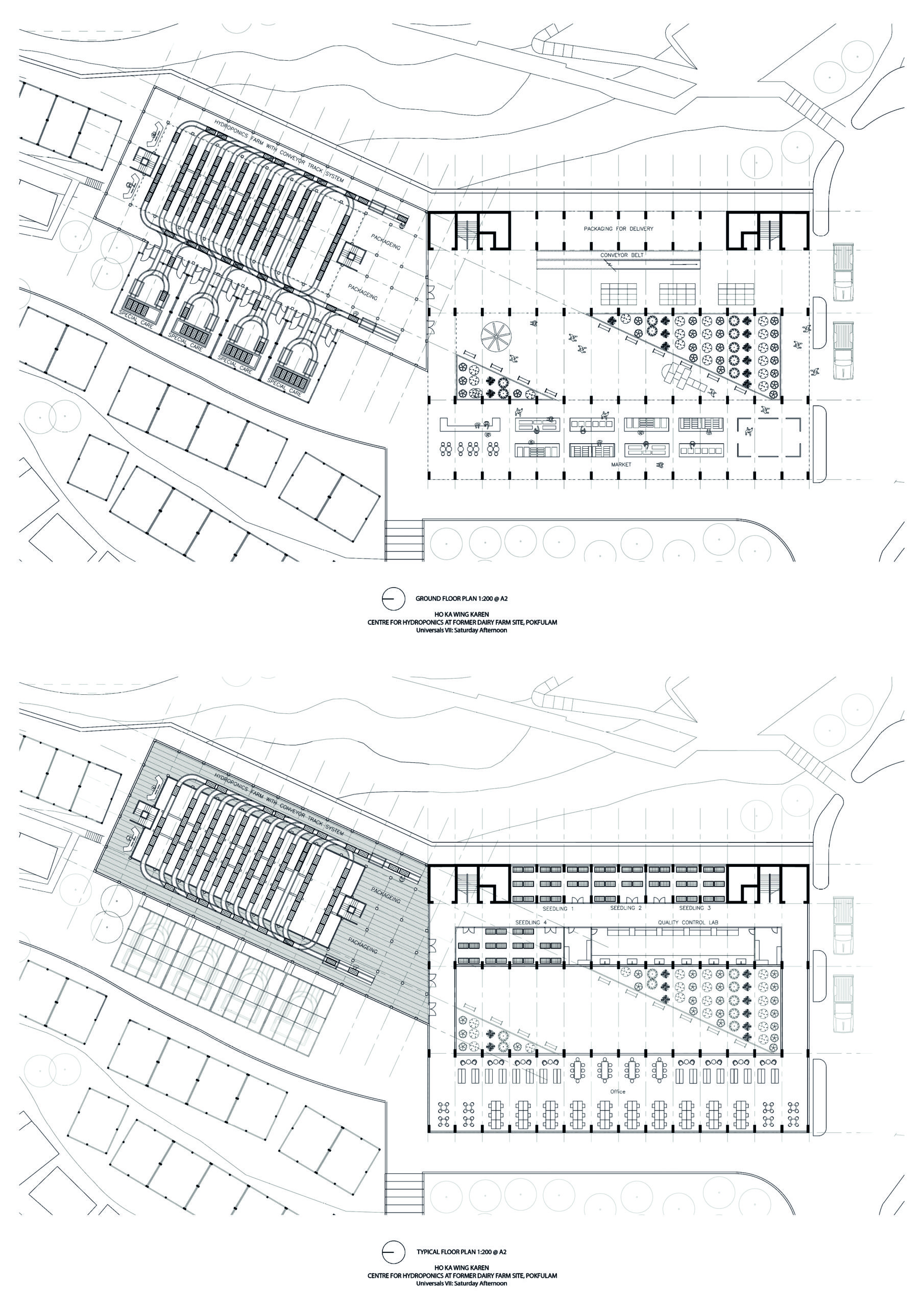 Saturday Afternoon | HKU Faculty of Architecture