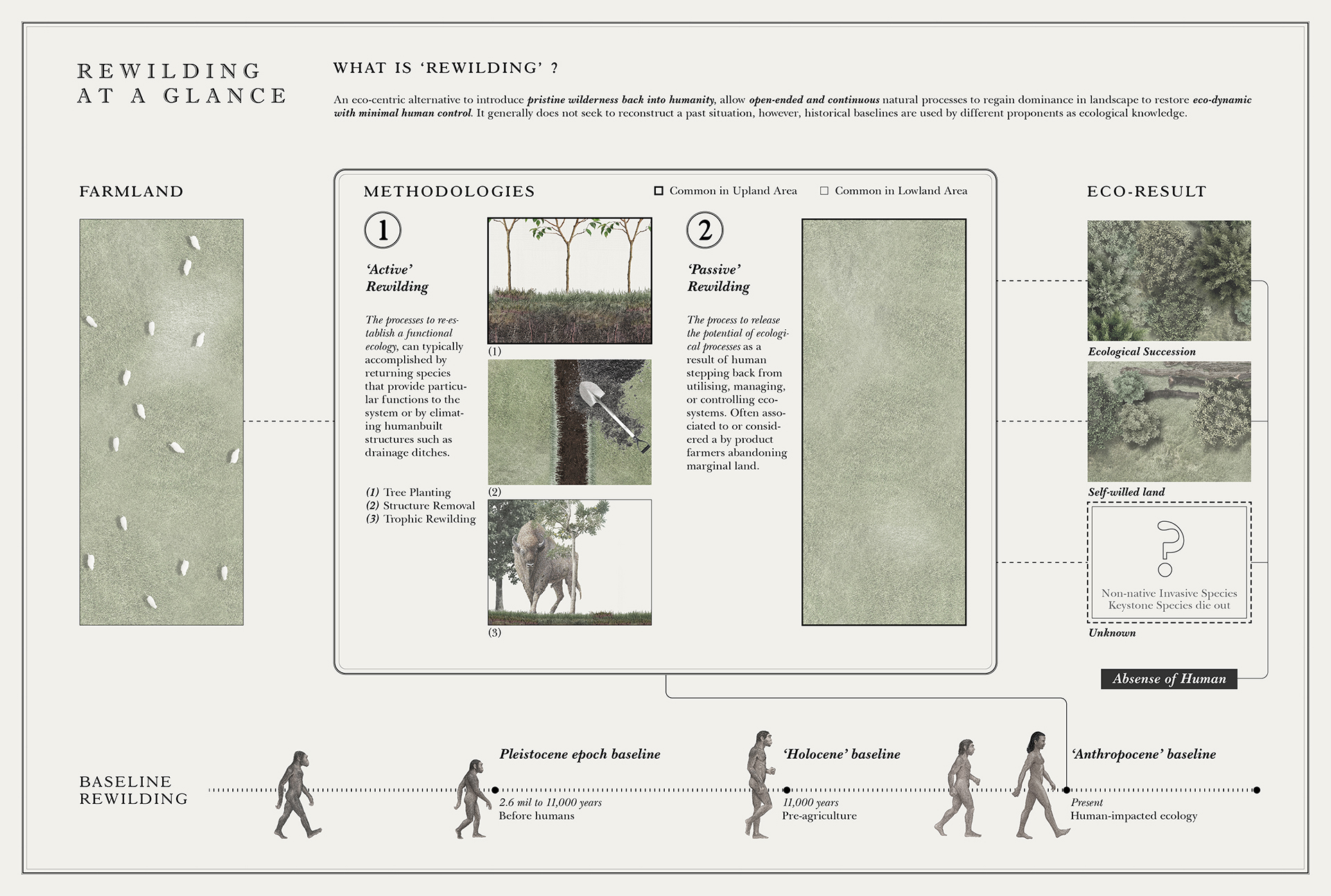 Paddock Rewilding: An Agri-wilding Scenario for a Regenerative Rural ...