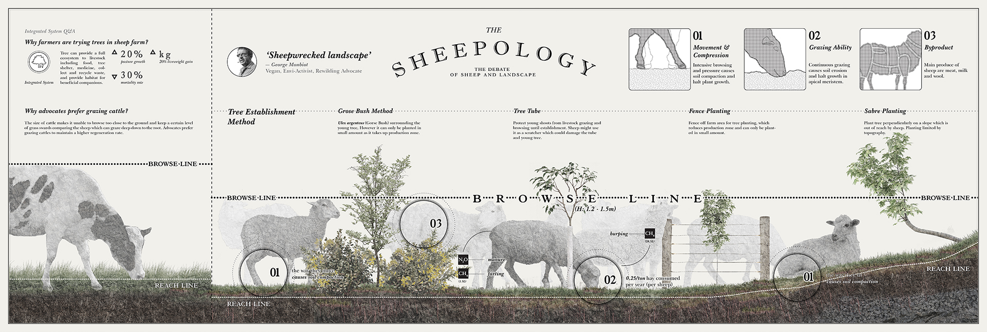 Paddock Rewilding: An Agri-wilding Scenario for a Regenerative Rural ...