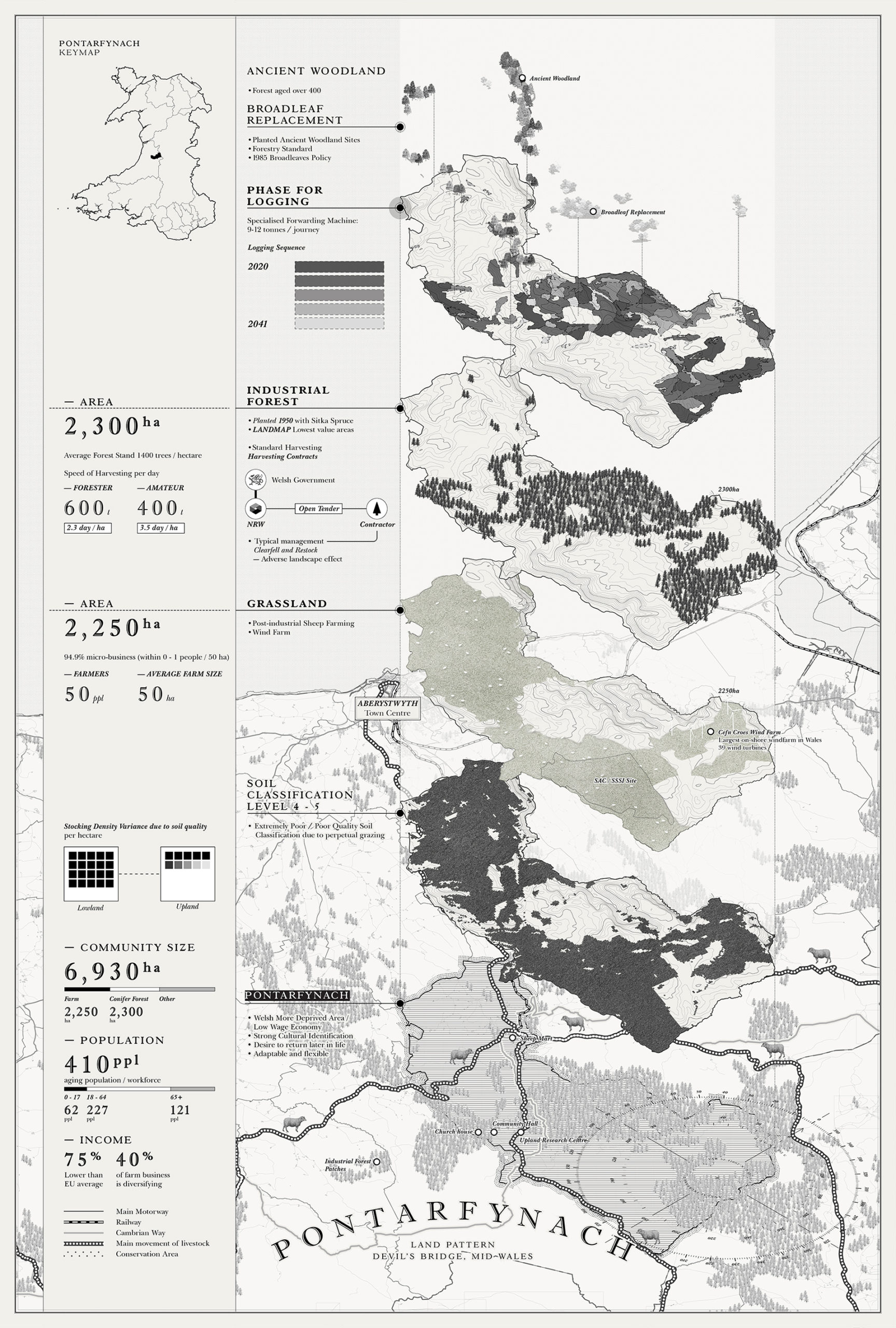 Paddock Rewilding: An Agri-wilding Scenario for a Regenerative Rural ...