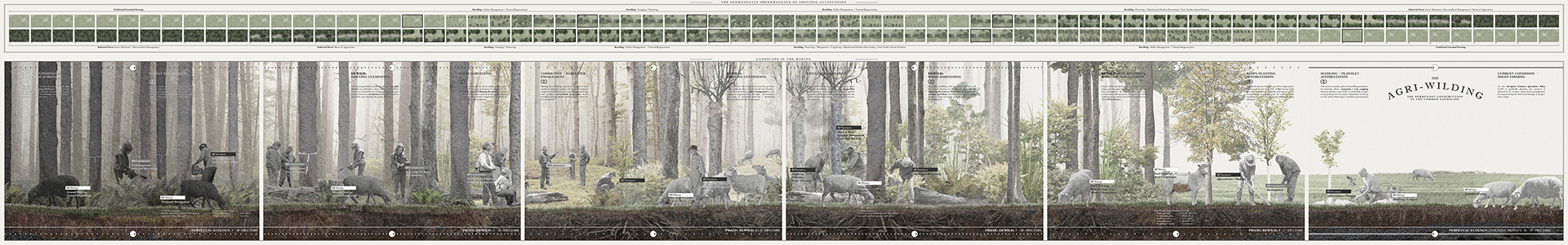 Paddock Rewilding: An Agri-wilding Scenario for a Regenerative Rural ...