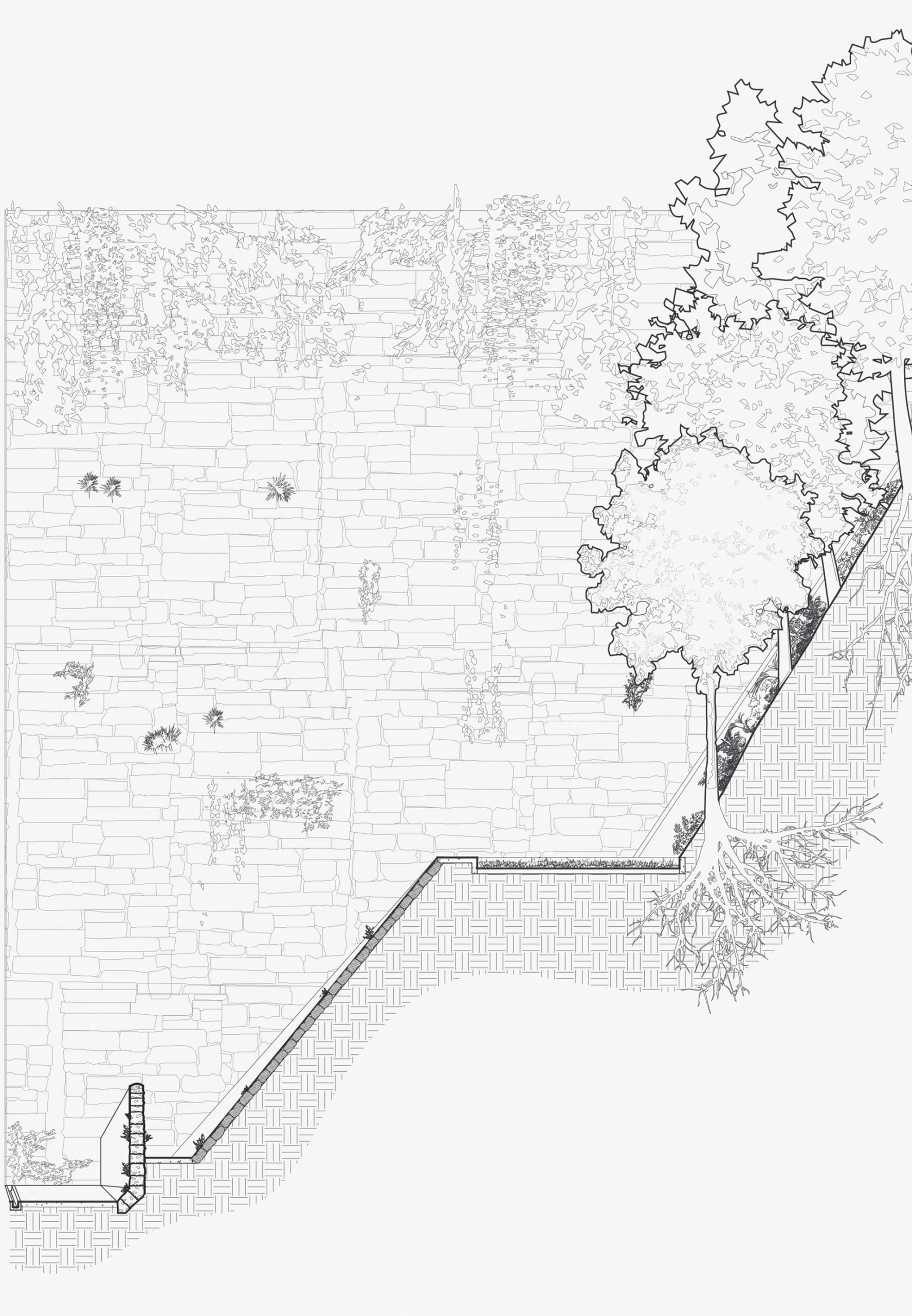 Introduction to Landscape Design Studio | HKU Faculty of Architecture