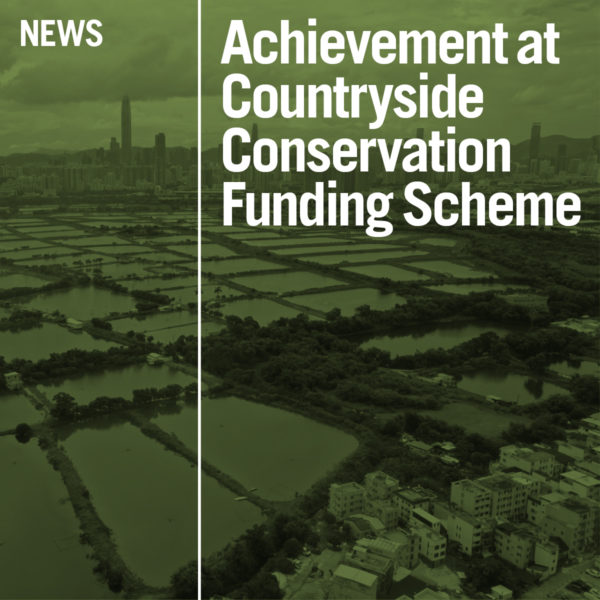 QS World University Rankings for Architecture 2021 | HKU Faculty of ...