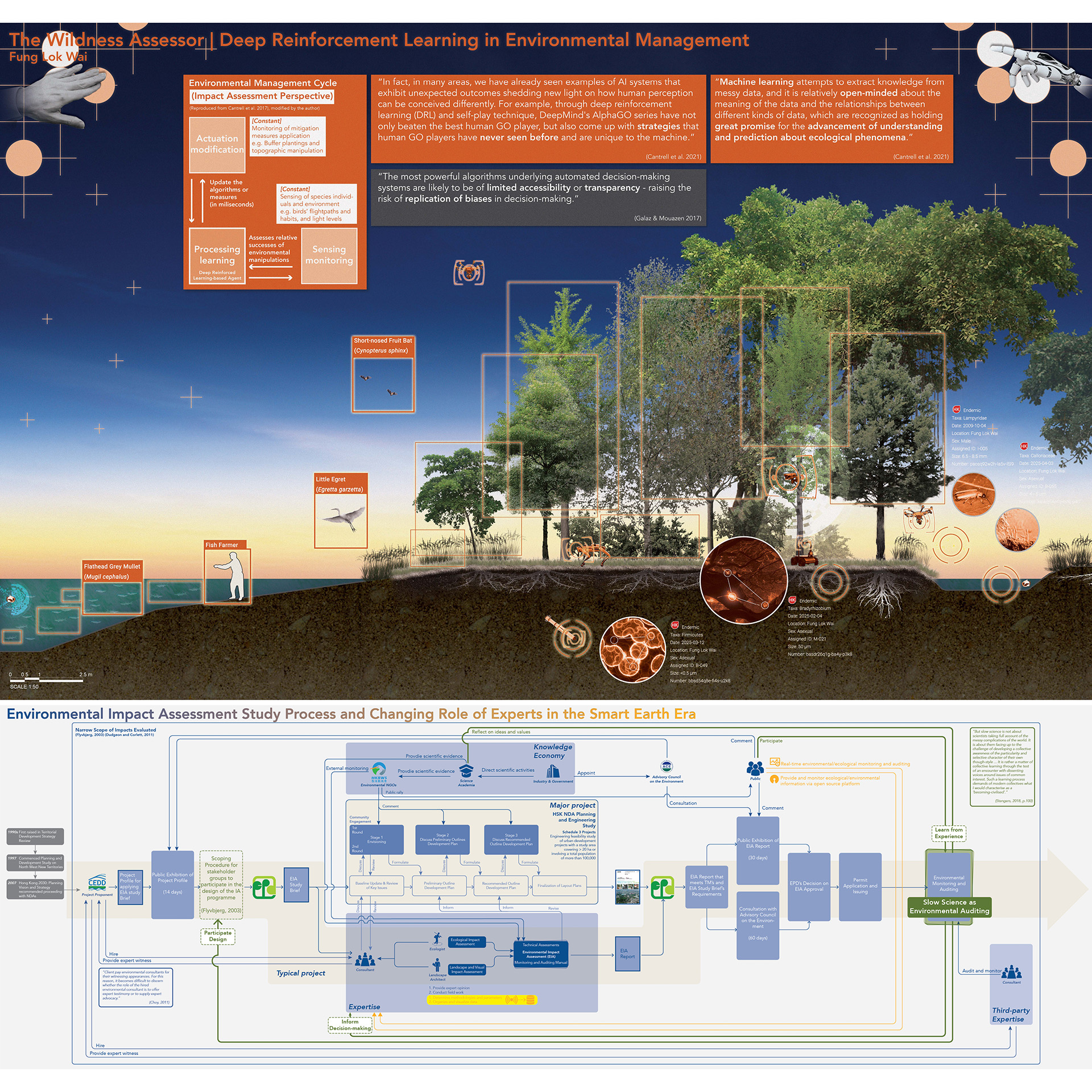Slow Science in Development: Ensuring principled ecological auditing ...