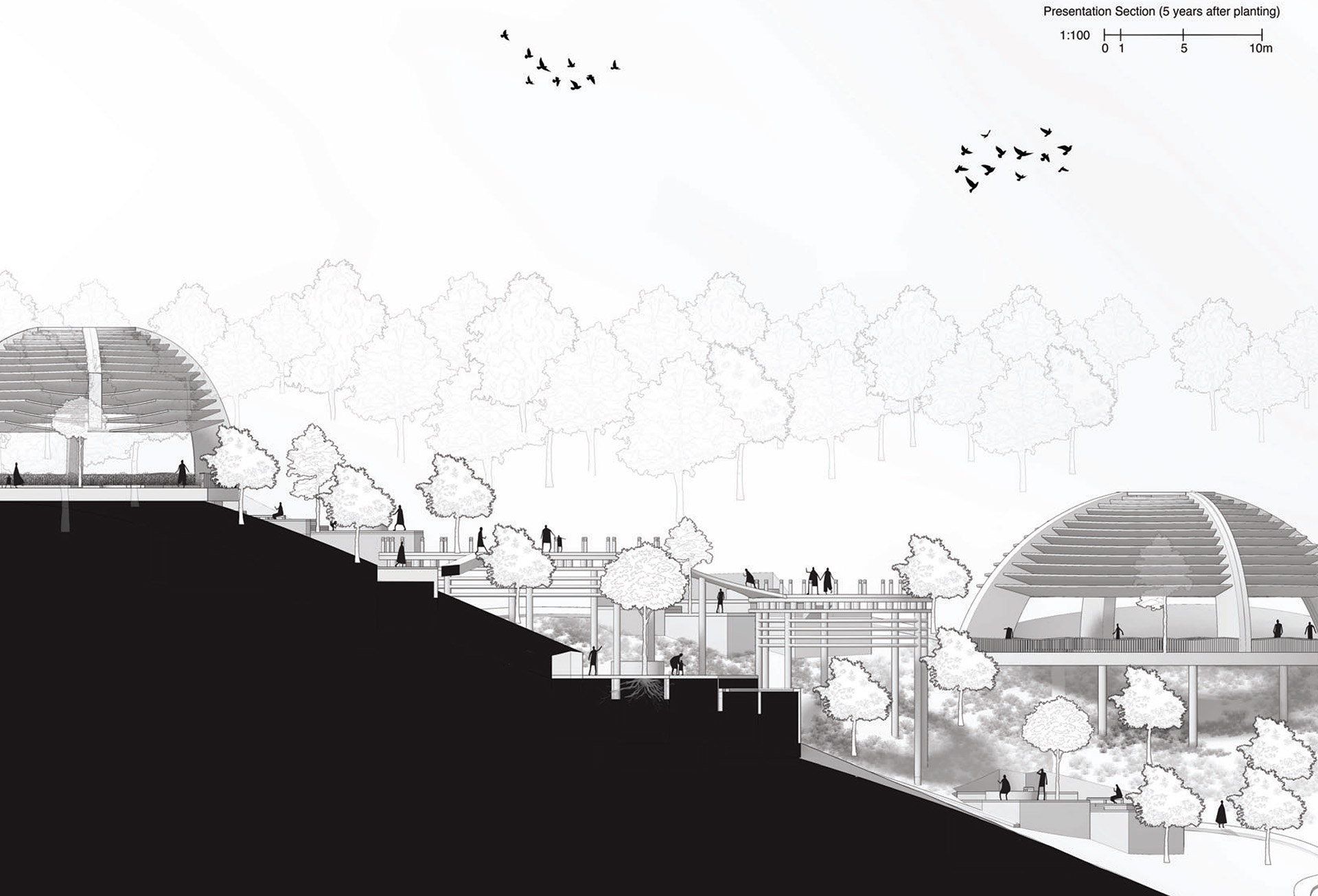 Tree Museum | HKU Faculty of Architecture