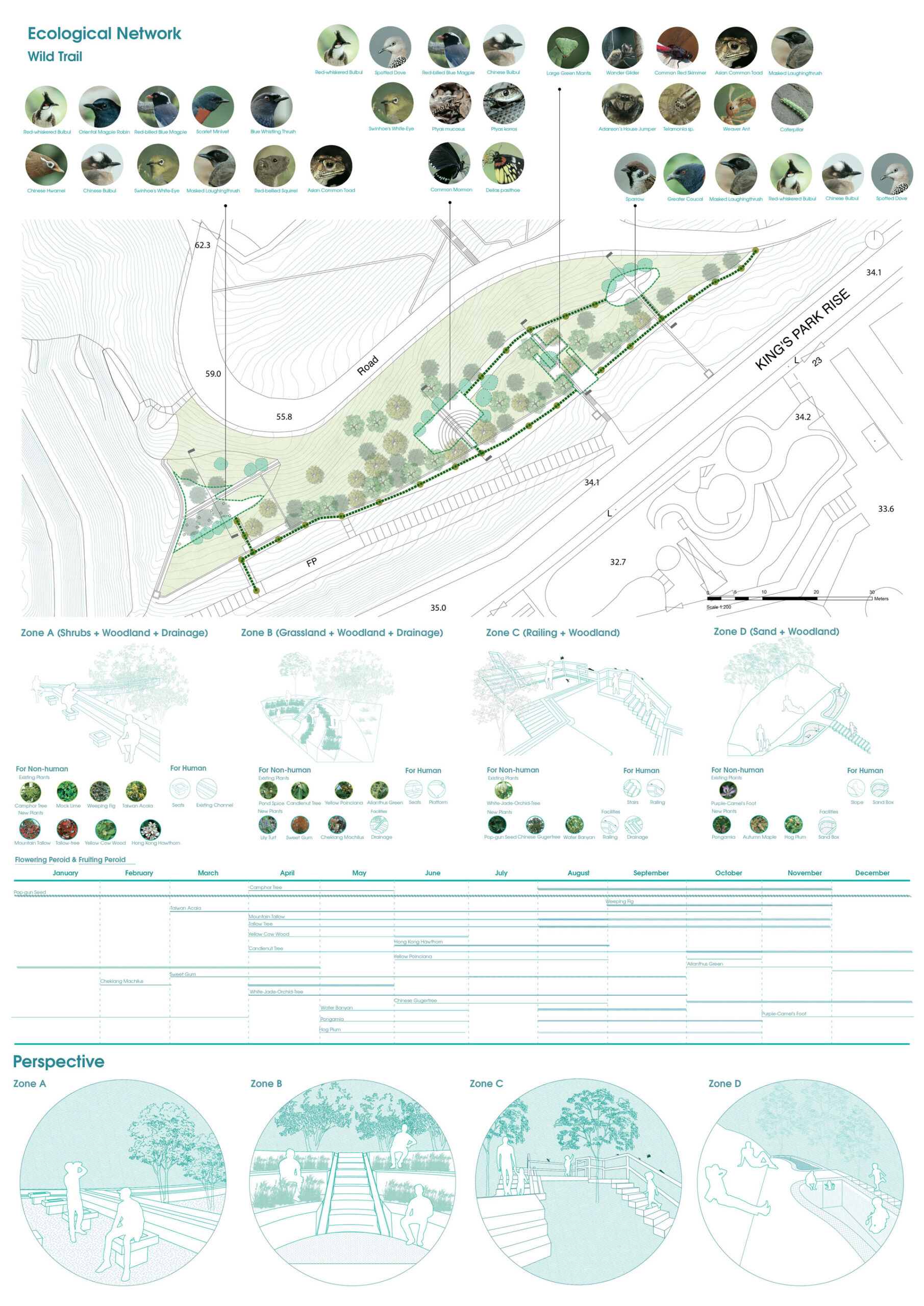 Rewilding the City- Exploring Nature/Human Relationships in Urban Hong ...