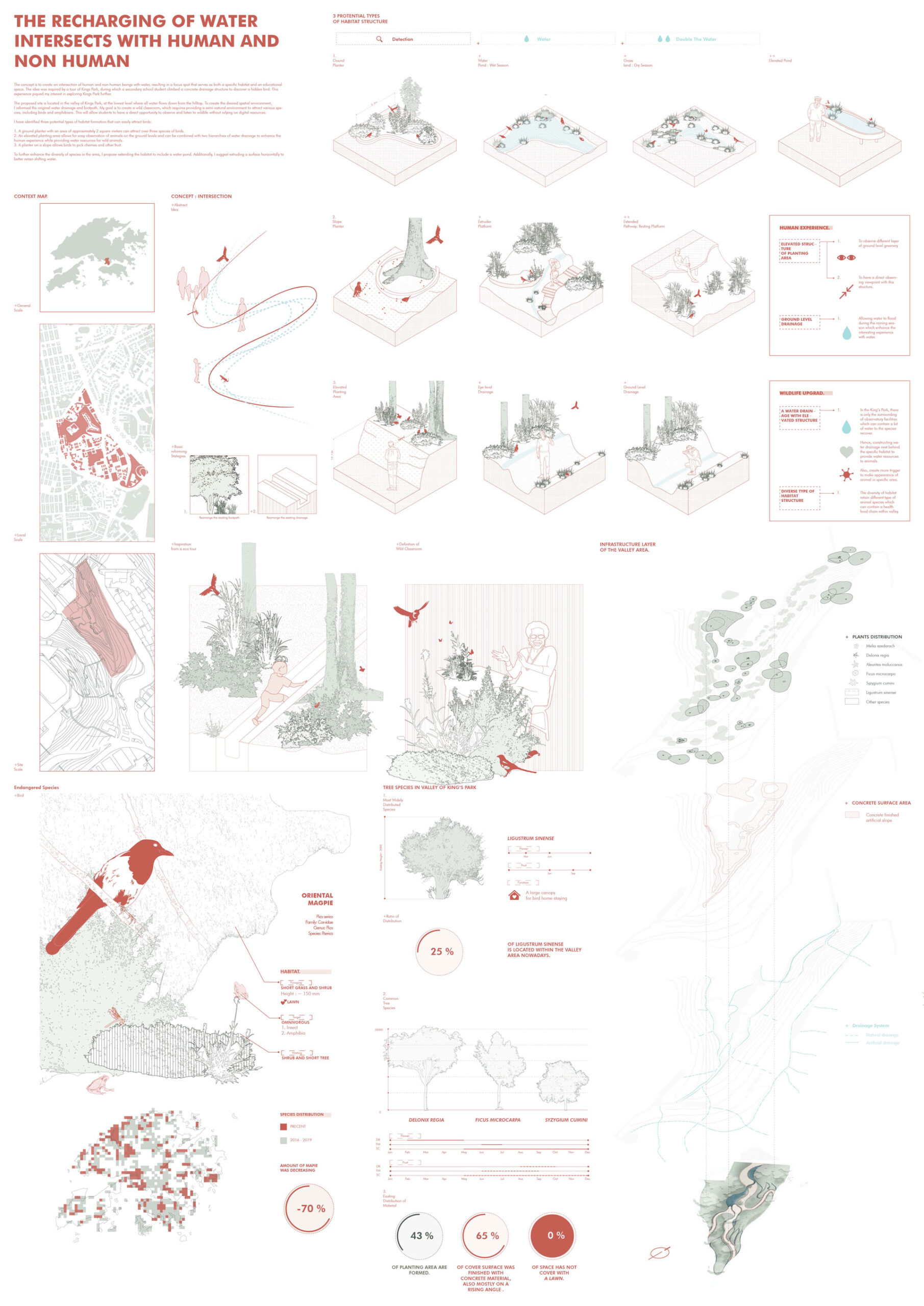 Rewilding the City- Exploring Nature/Human Relationships in Urban Hong ...