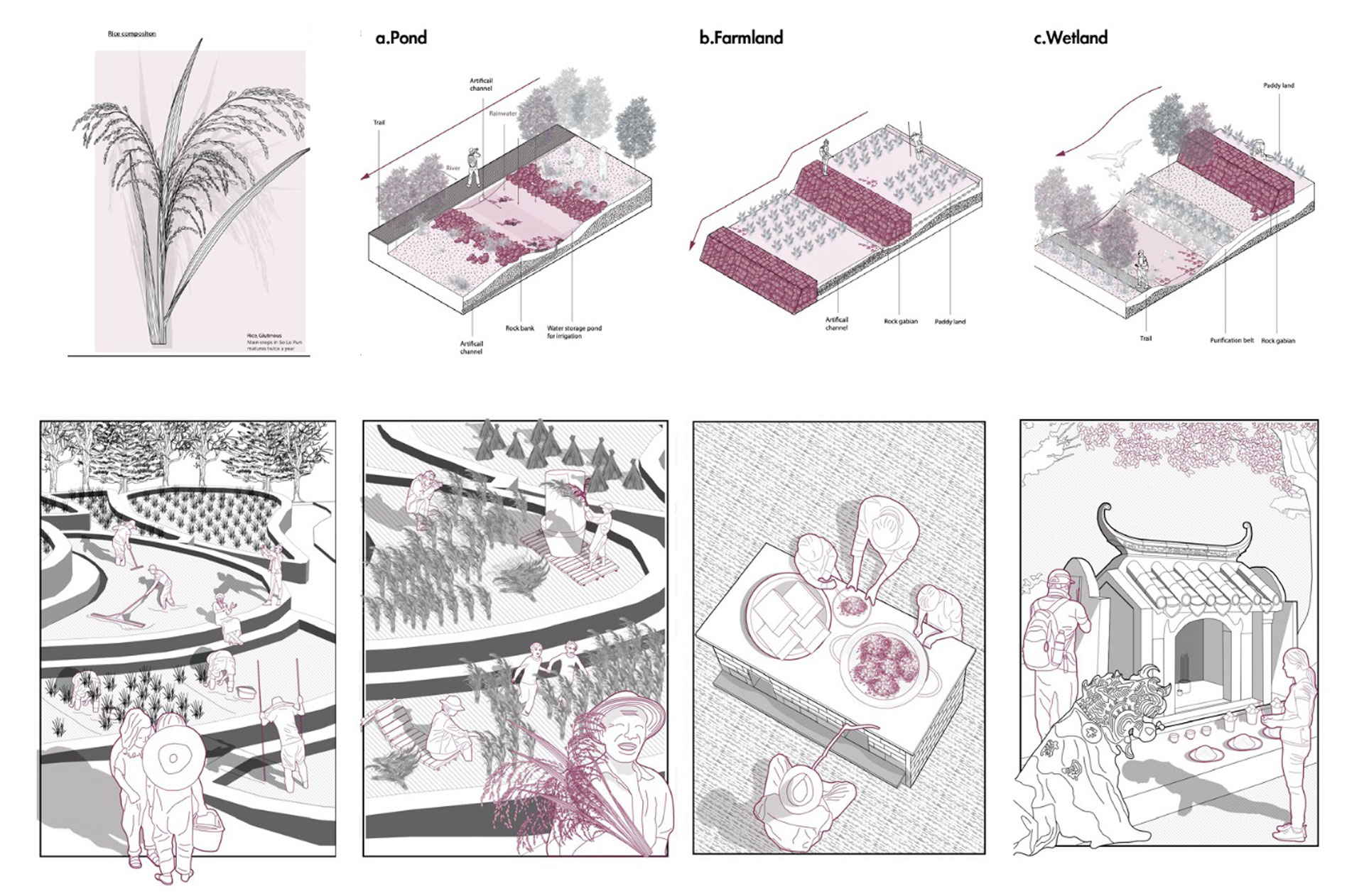 Village Old Trees: Storytellers of Rural Everyday Life and Space | HKU ...