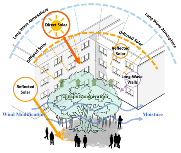 Optimization of Tree Locations to Reduce Human Heat Stress in an Urban ...