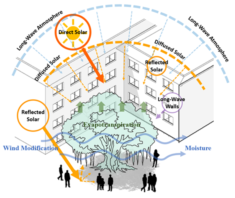 Optimization of Tree Locations to Reduce Human Heat Stress in an Urban ...