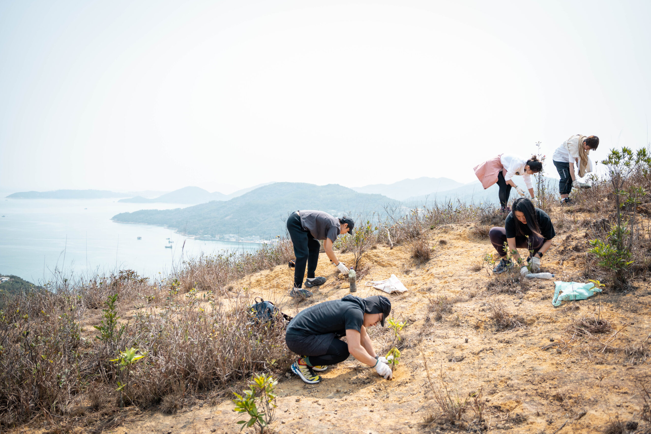 Postgraduate Diploma in Landscape Architecture | HKU Faculty of ...